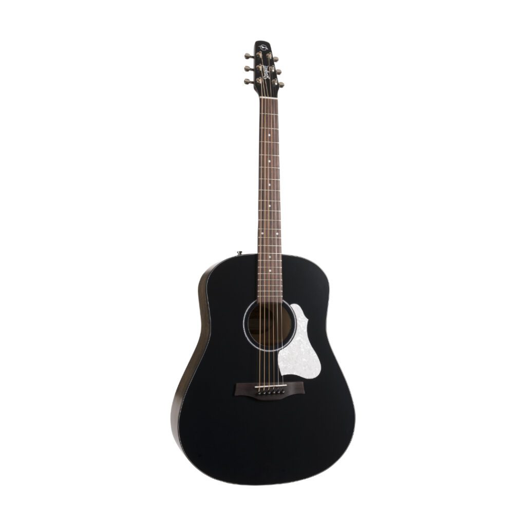 Seagull Artist Mosaic EQ Acoustic-Electric Guitar | TheStockist