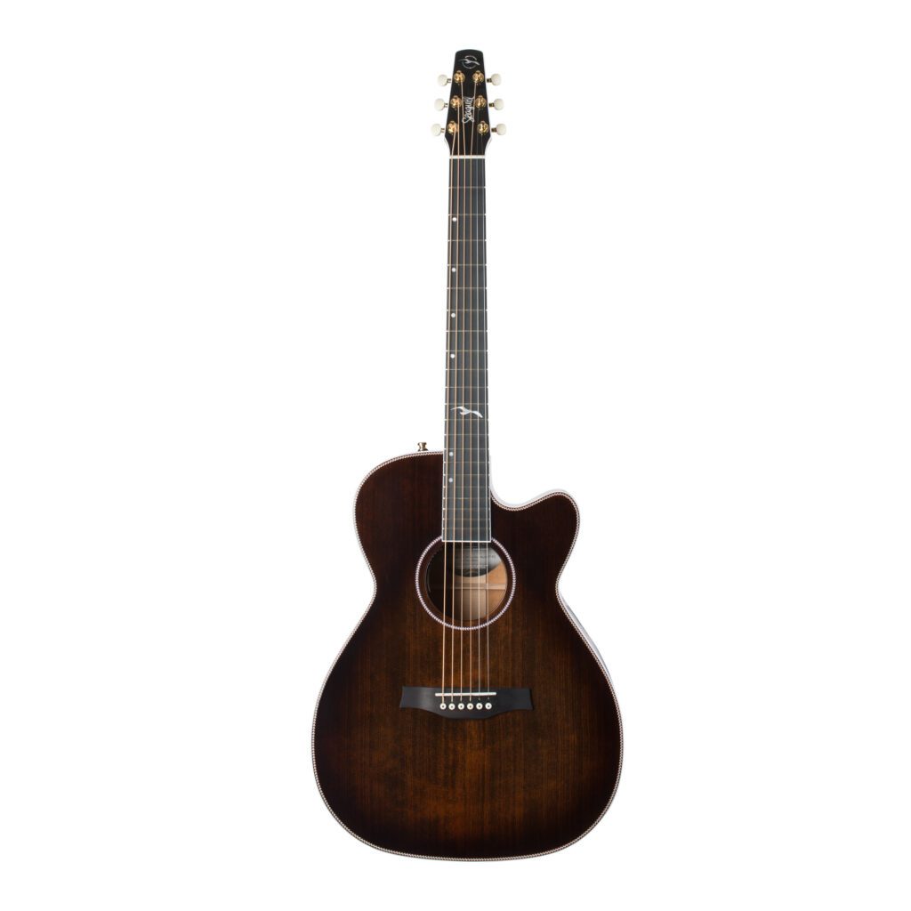 Seagull Guitars Artist Mosaic CH CW EQ Acoustic-Electric Guitar ...