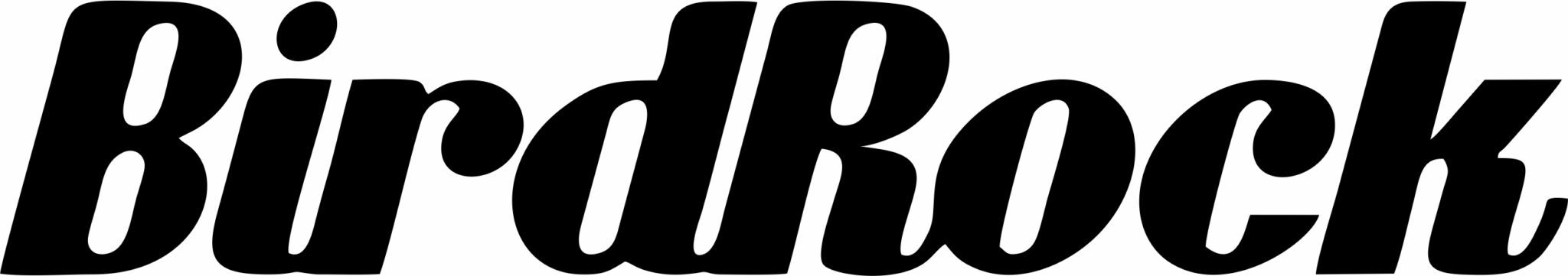 Introducing the BirdRock Groove Master Series Drum Set - TheStockist