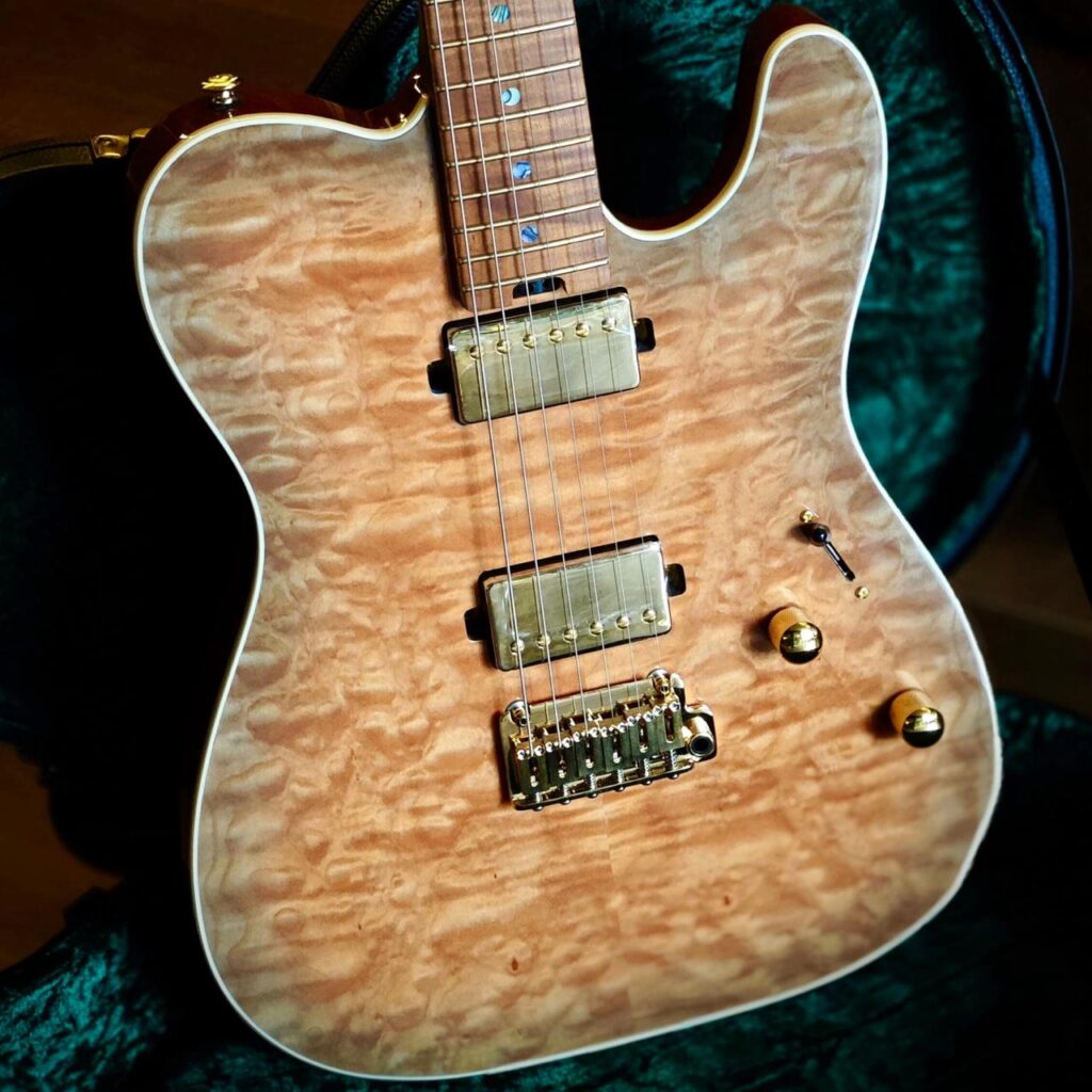 Buy Electric Guitars Online in India | The Stockist