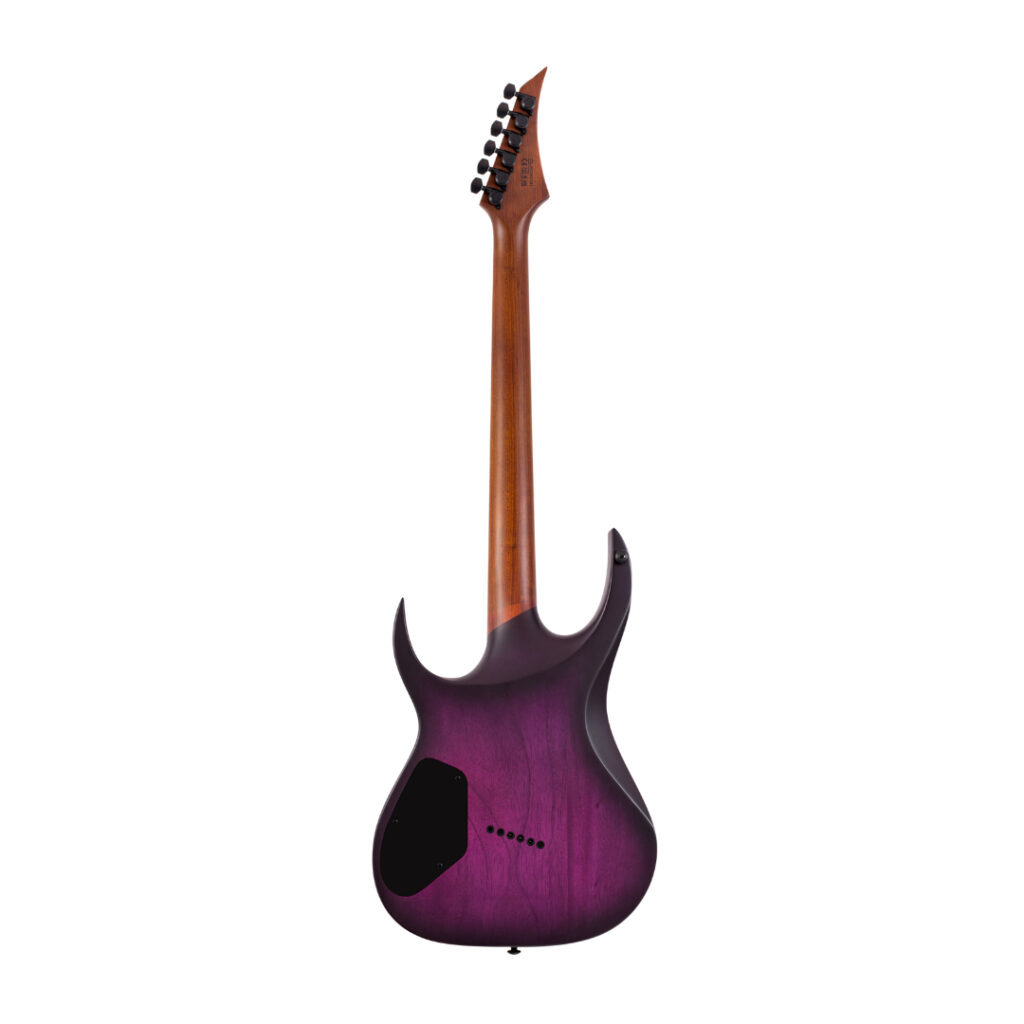 Solar A1.6FDPB-FF – Flame Deep Purple Burst Matte 6-String Multiscale ...